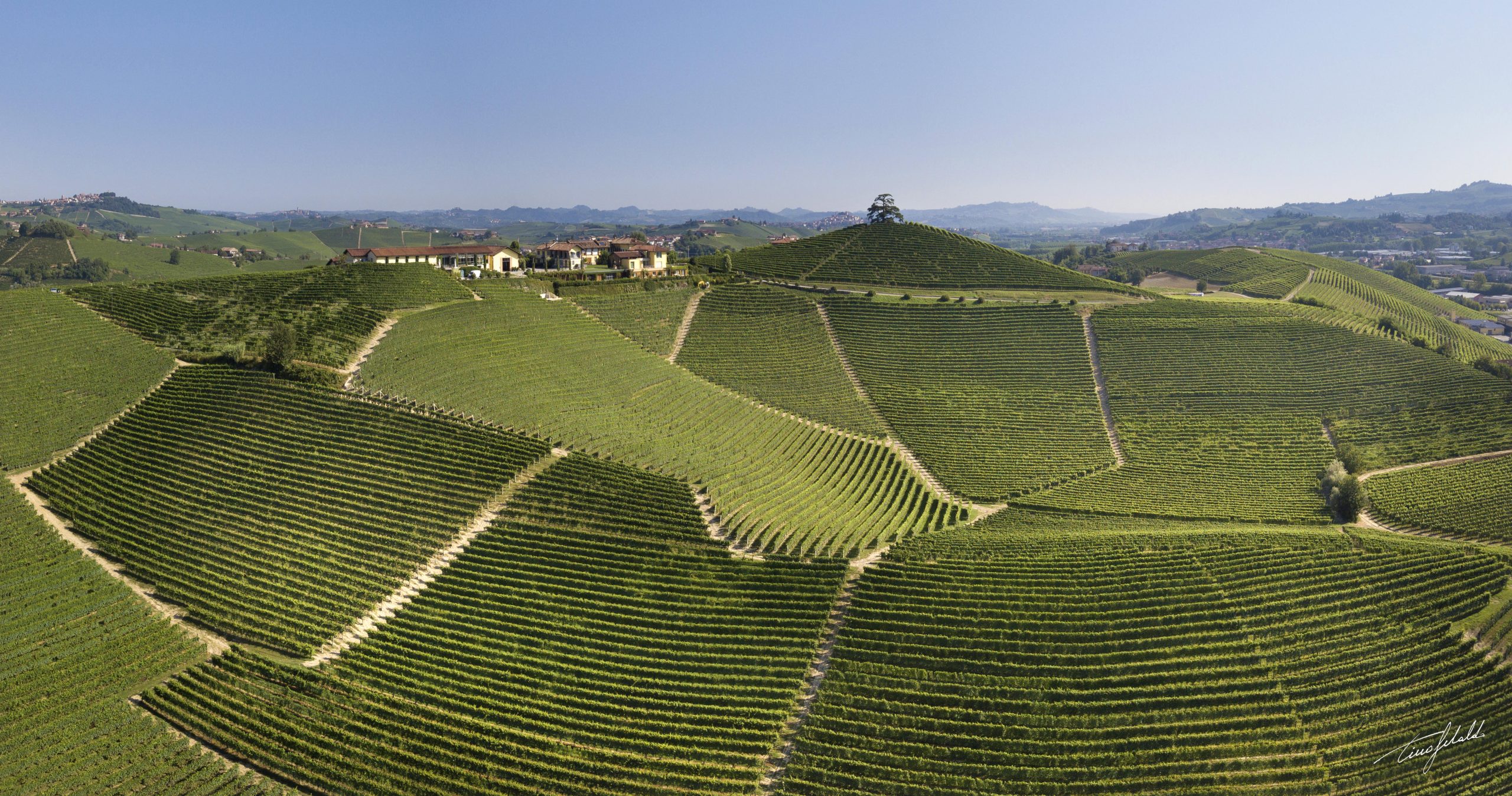 Extraordinary 2019 Barolos from Cordero di Montezemolo! – Rick Thompson ...